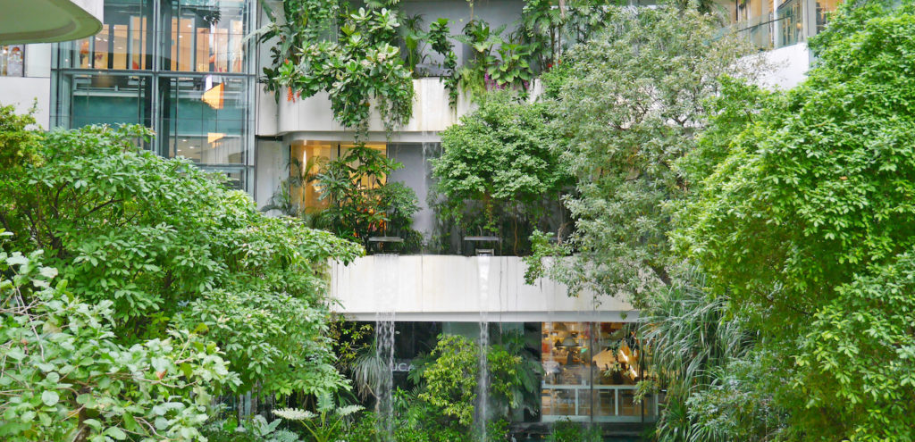 How to Care for Bamboo Furniture | CORT